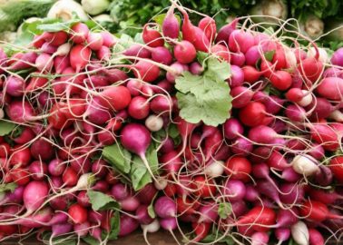 Rad Rad Radishes - Covent Garden Market